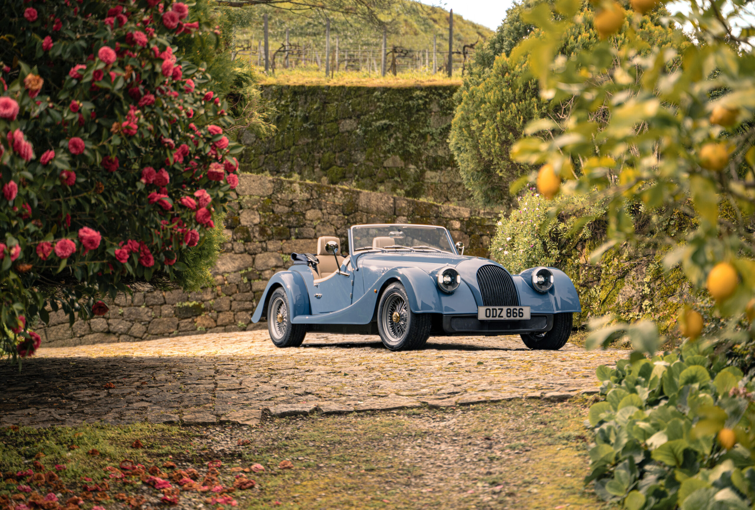 Morgan Plus Four - Boucars